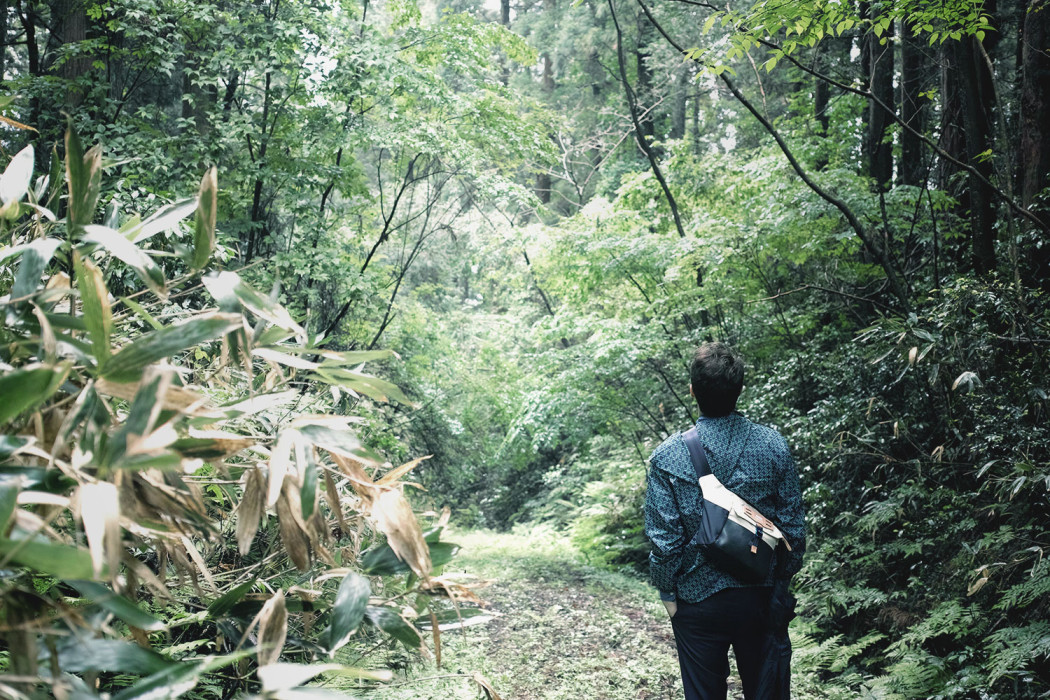 Feels Special : the forest in Kaga, Japan | The Voyageur